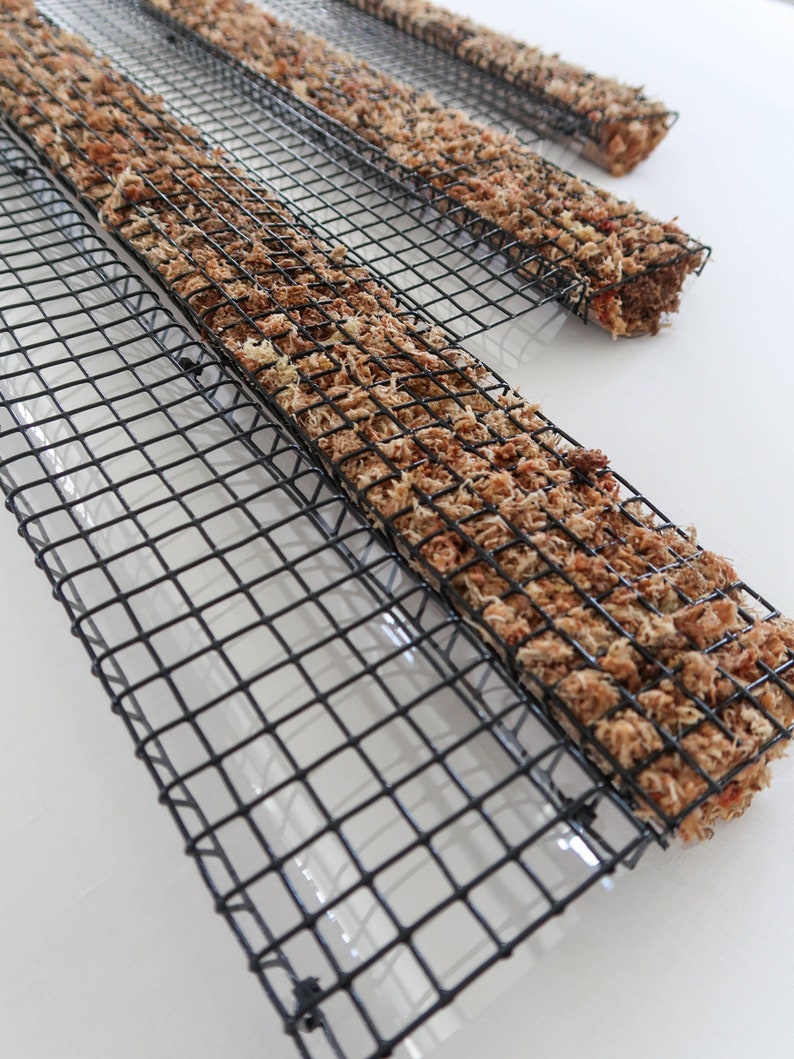 Moss Poles handmade Half Moon Grid Moss Poles for Leca Pon - Etsy