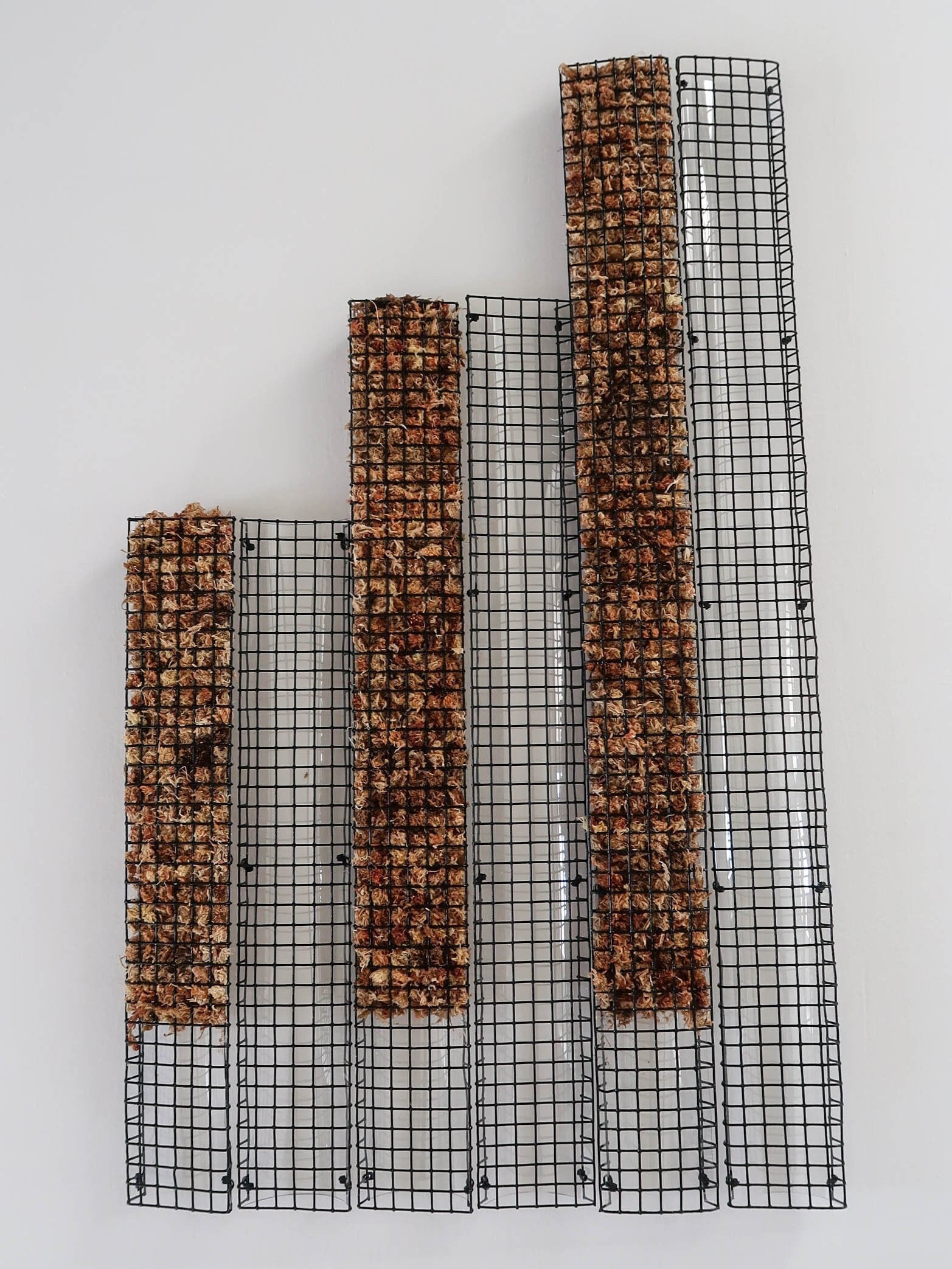 Moss Poles handmade Half Moon Grid Moss Poles for Leca Pon - Etsy
