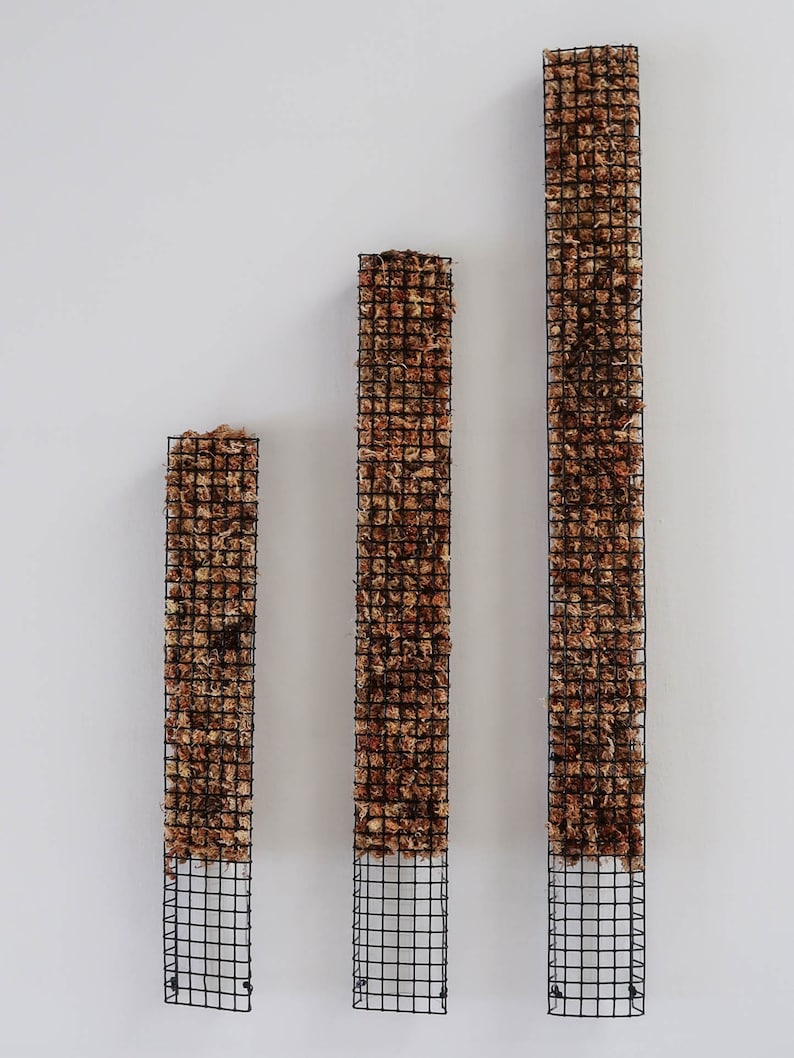 Moss Poles handmade Half Moon Grid Moss Poles for Leca Pon - Etsy