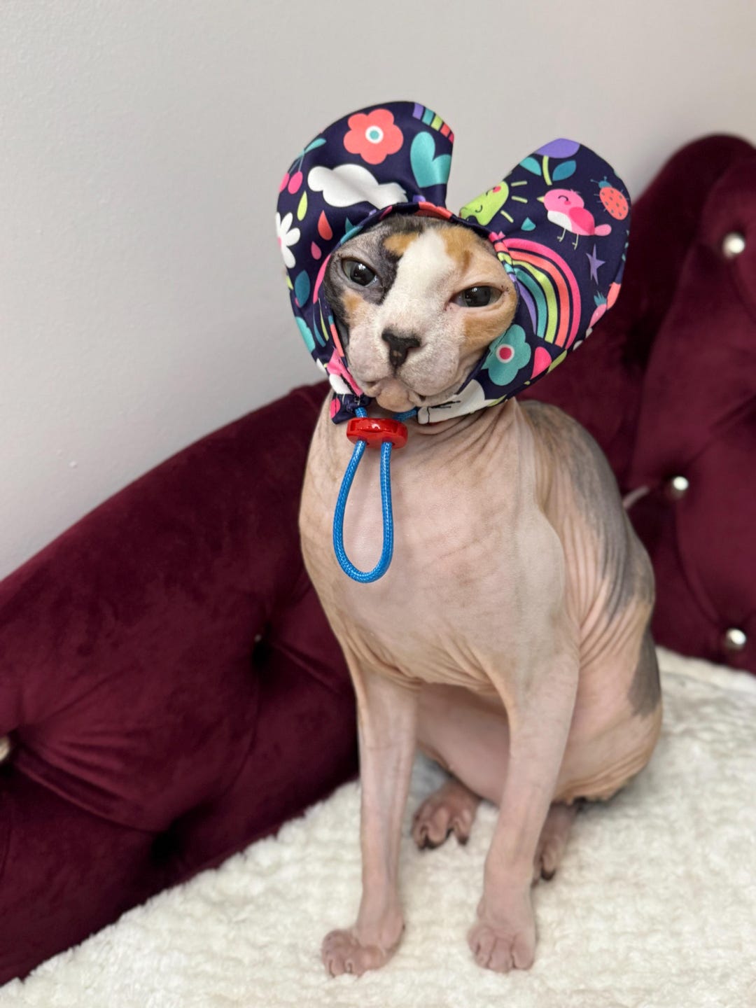 Sphynx Cat PUL Fabric Water Resistant Bath Cap Ear Rainbows Spring - Etsy