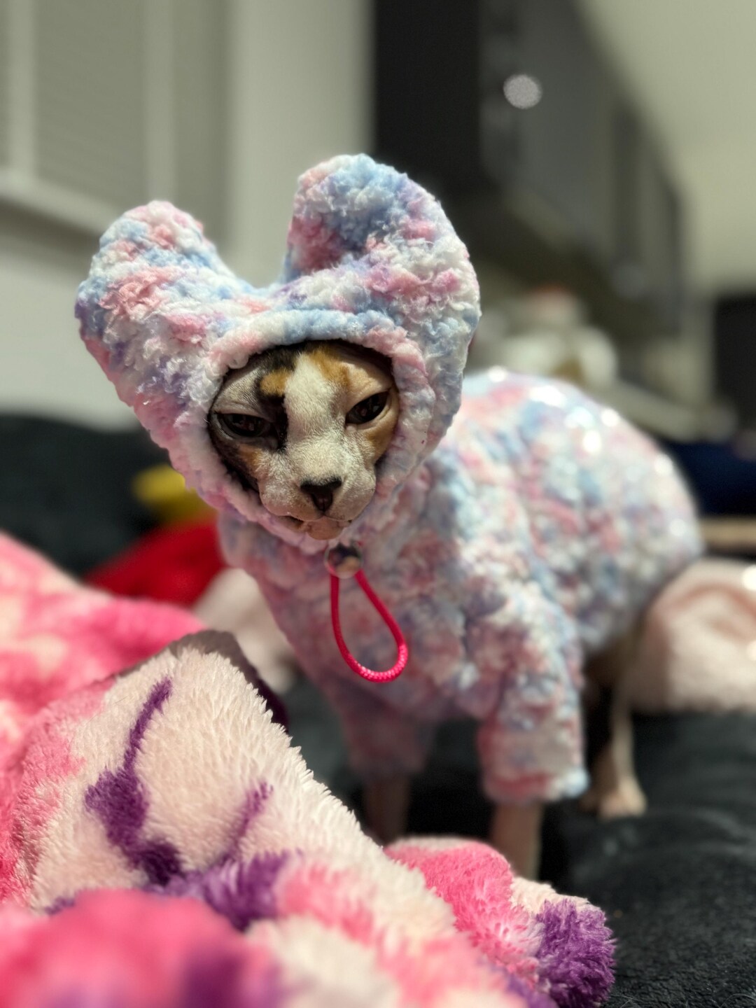 Sphynx Cat HAT ONLY Teddy Fleece Warm and Cosy Winter - Etsy