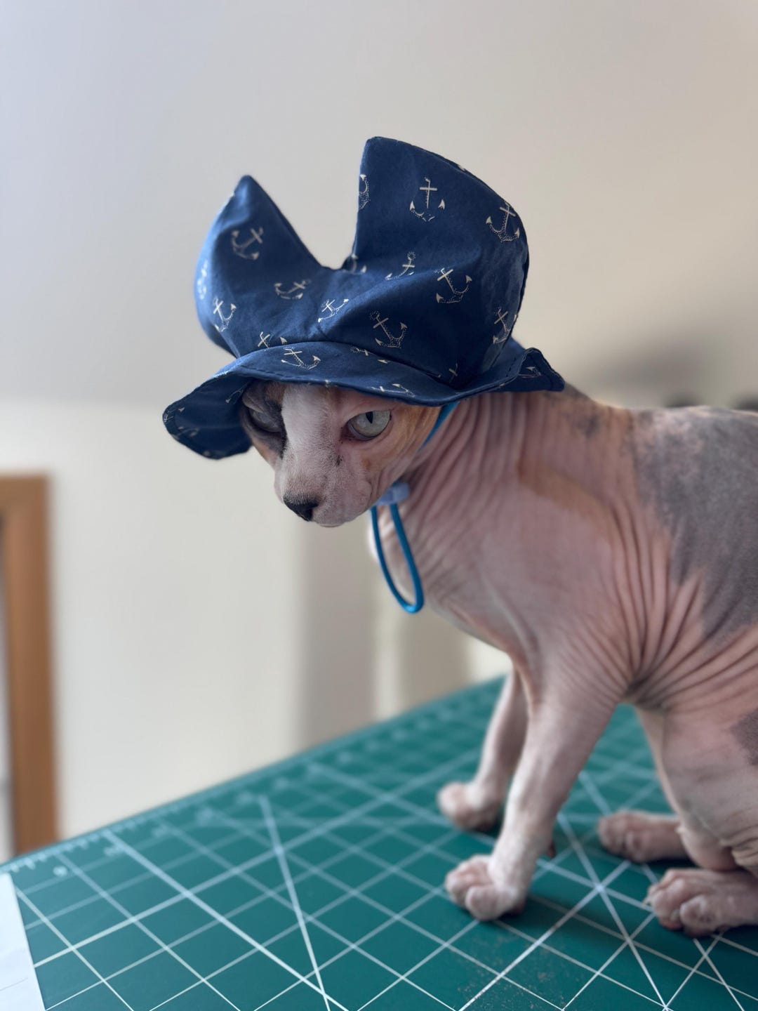 Sphynx Cat Sunhat: Cotton Brim, Ear Protection - Strawberry or ...