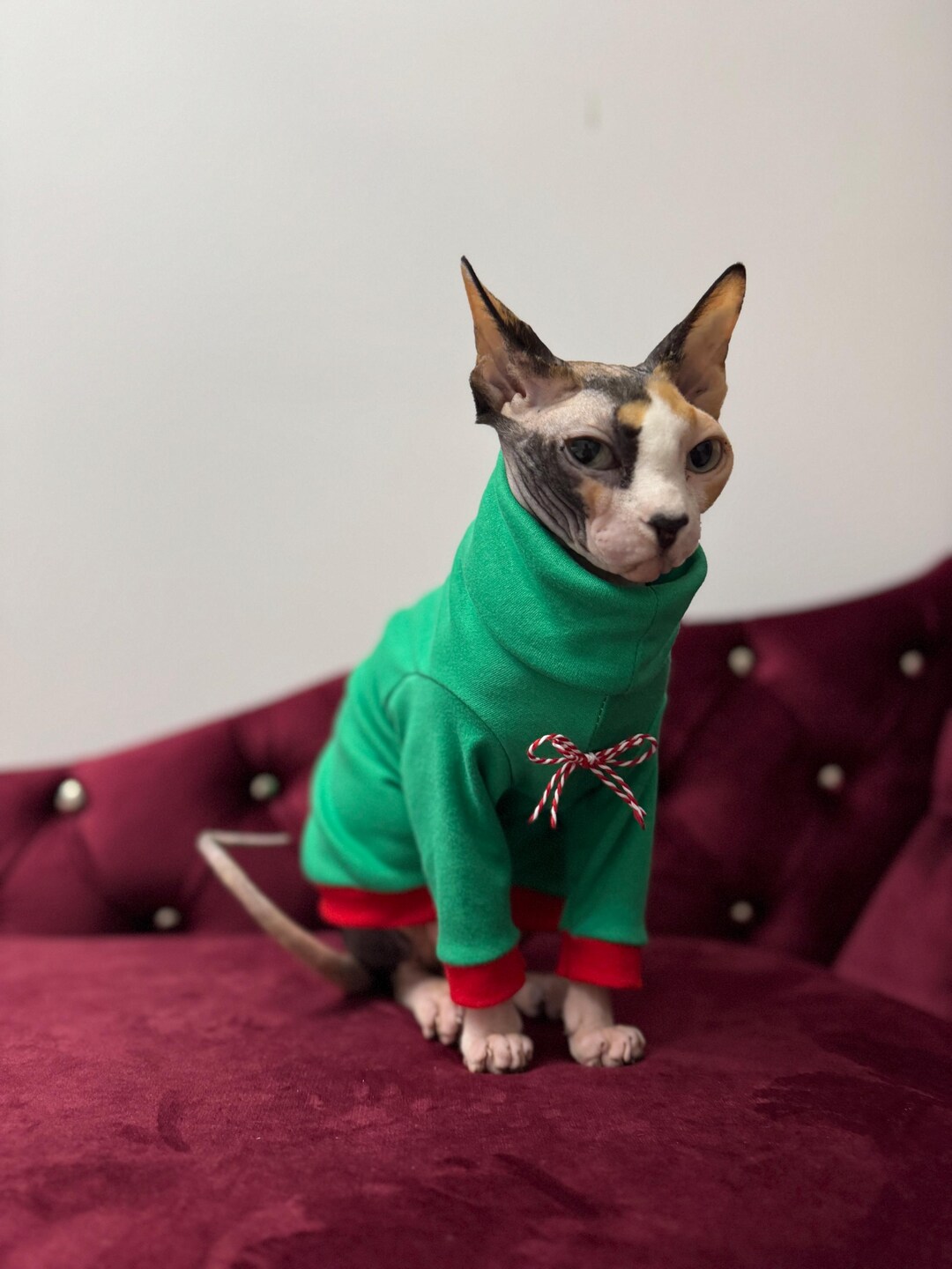 Sphynx Cat Clothes Green Turtleneck Festive Cute Elf Outfit Jumper ...