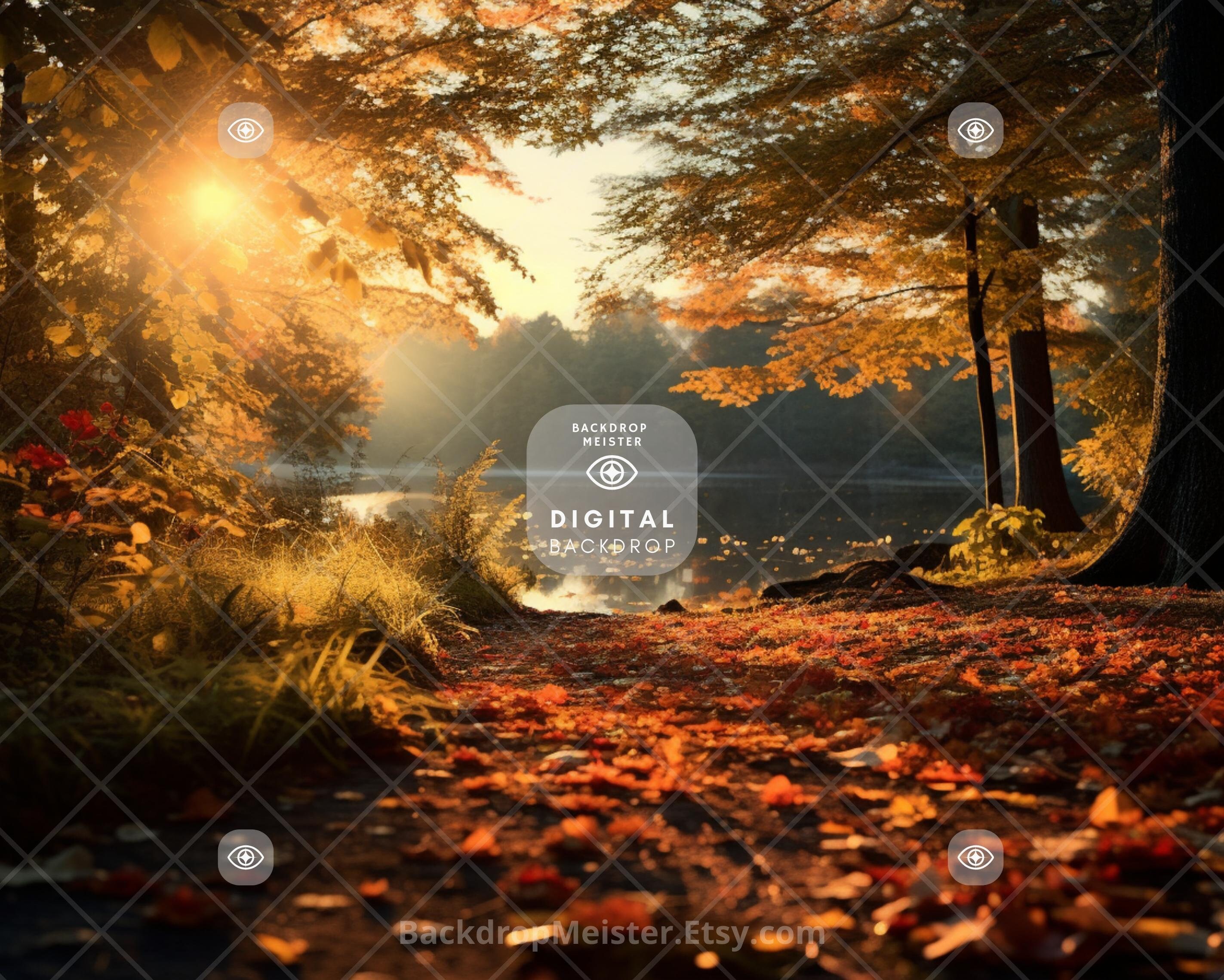 Fall Forest Backdrop Digital Download Photoshop Overlays, Wedding ...