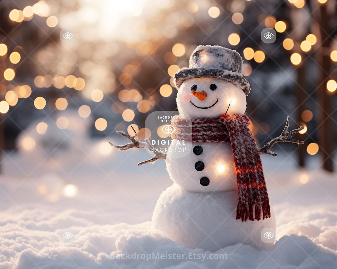Snowman Backdrop Digital Download Photoshop Overlays - Etsy