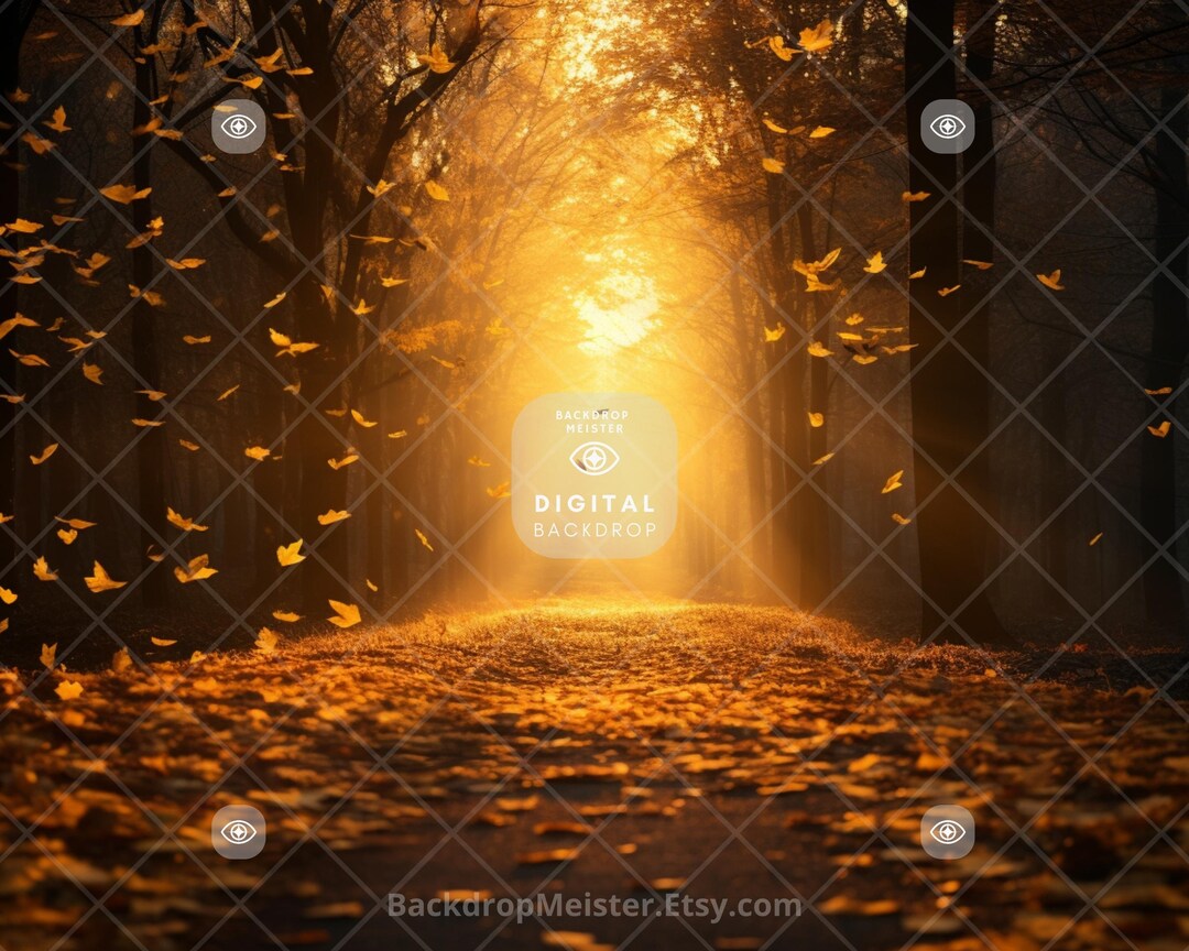 Fall Forest Backdrop Digital Download Photoshop Overlays, Wedding ...