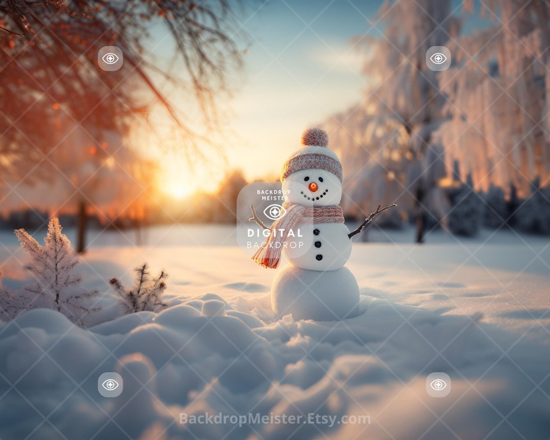 Snowman Backdrop Digital Download Photoshop Overlays - Etsy