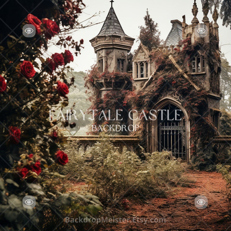 Castle Backdrop - Etsy