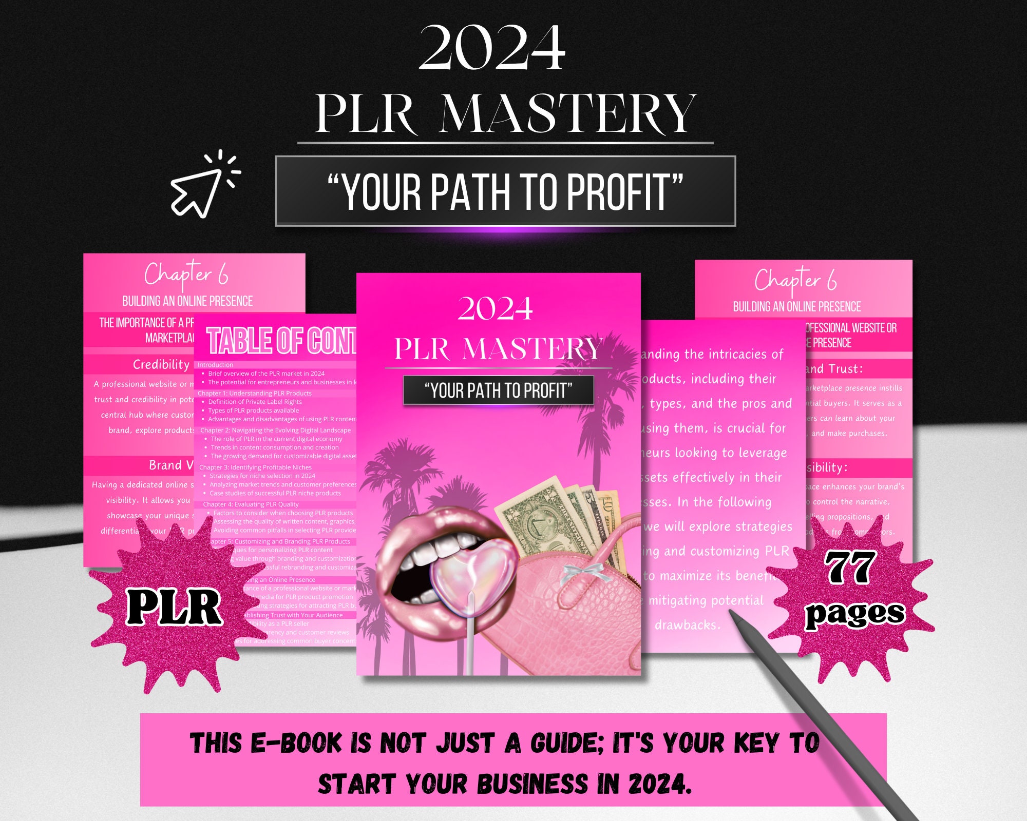 2024 PLR Mastery E-book, Reselable Guide, Business Ebook, How to Make Money Ebook, Guide How to ...