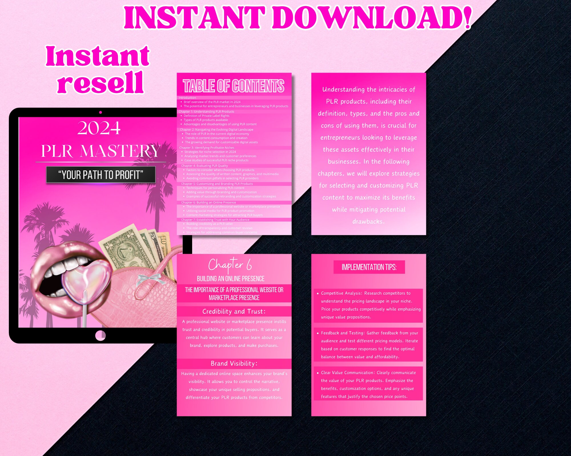 2024 PLR Mastery E-book, Reselable Guide, Business Ebook, How to Make Money Ebook, Guide How to ...