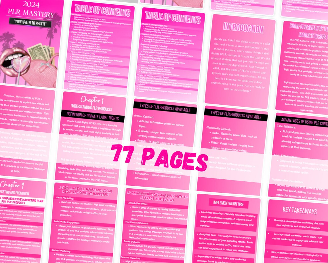 2024 PLR Mastery E-book, Reselable Guide, Business Ebook, How to Make Money Ebook, Guide How to ...
