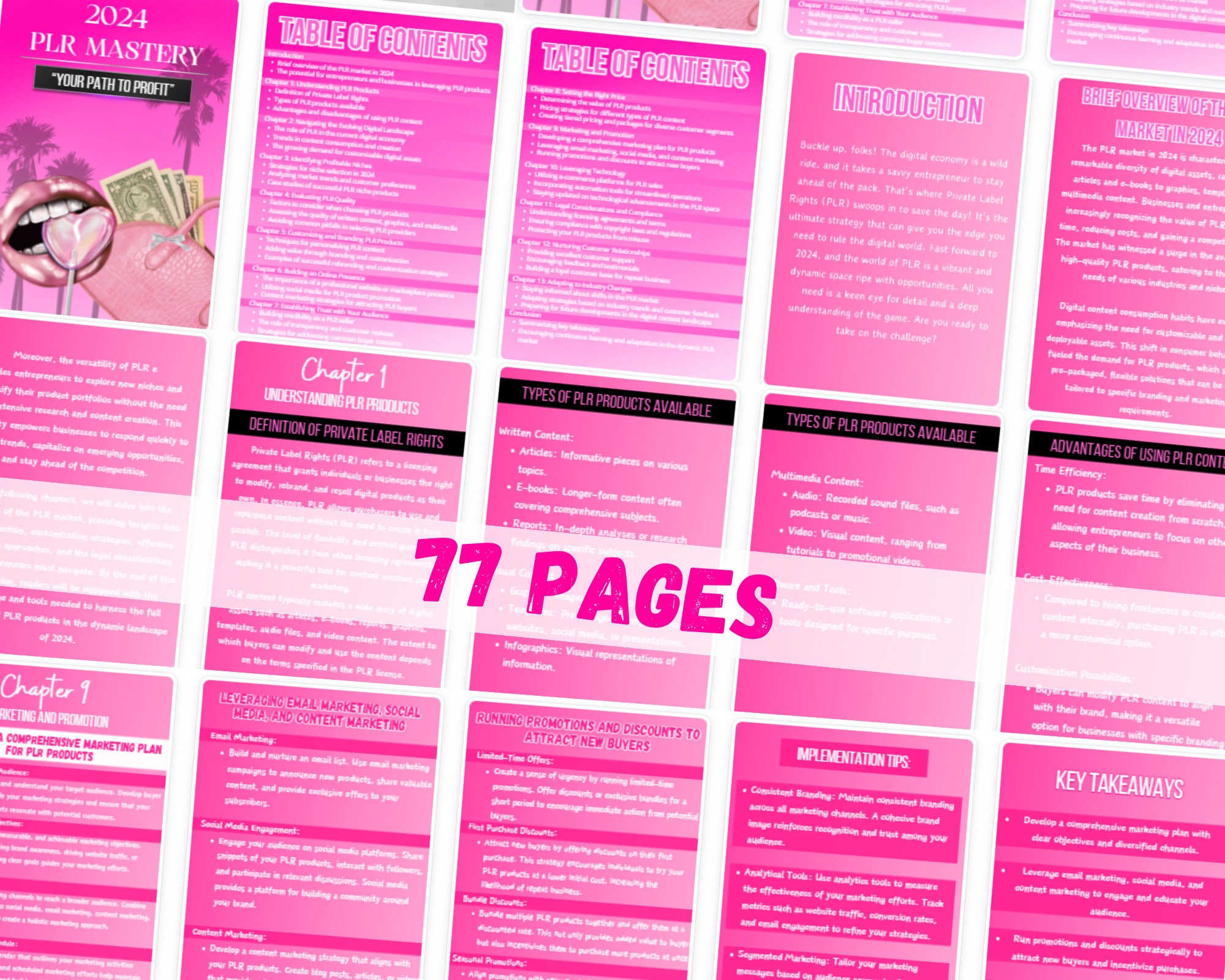 2024 PLR Mastery E-book, Reselable Guide, Business Ebook, How to Make Money Ebook, Guide How to ...