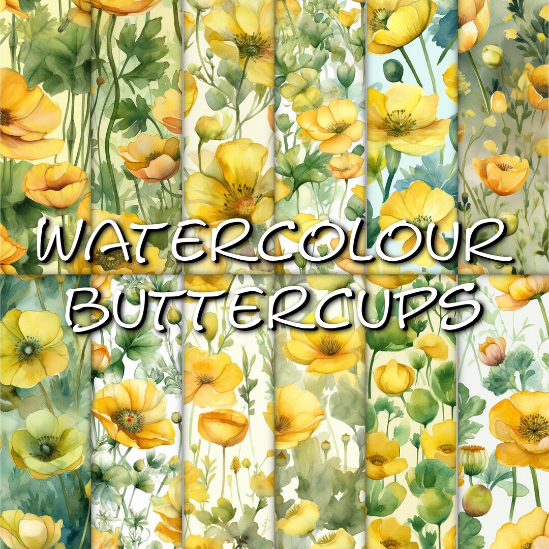 Seamless Watercolour Buttercups Digital Paper, 12 Repeatable Floral ...