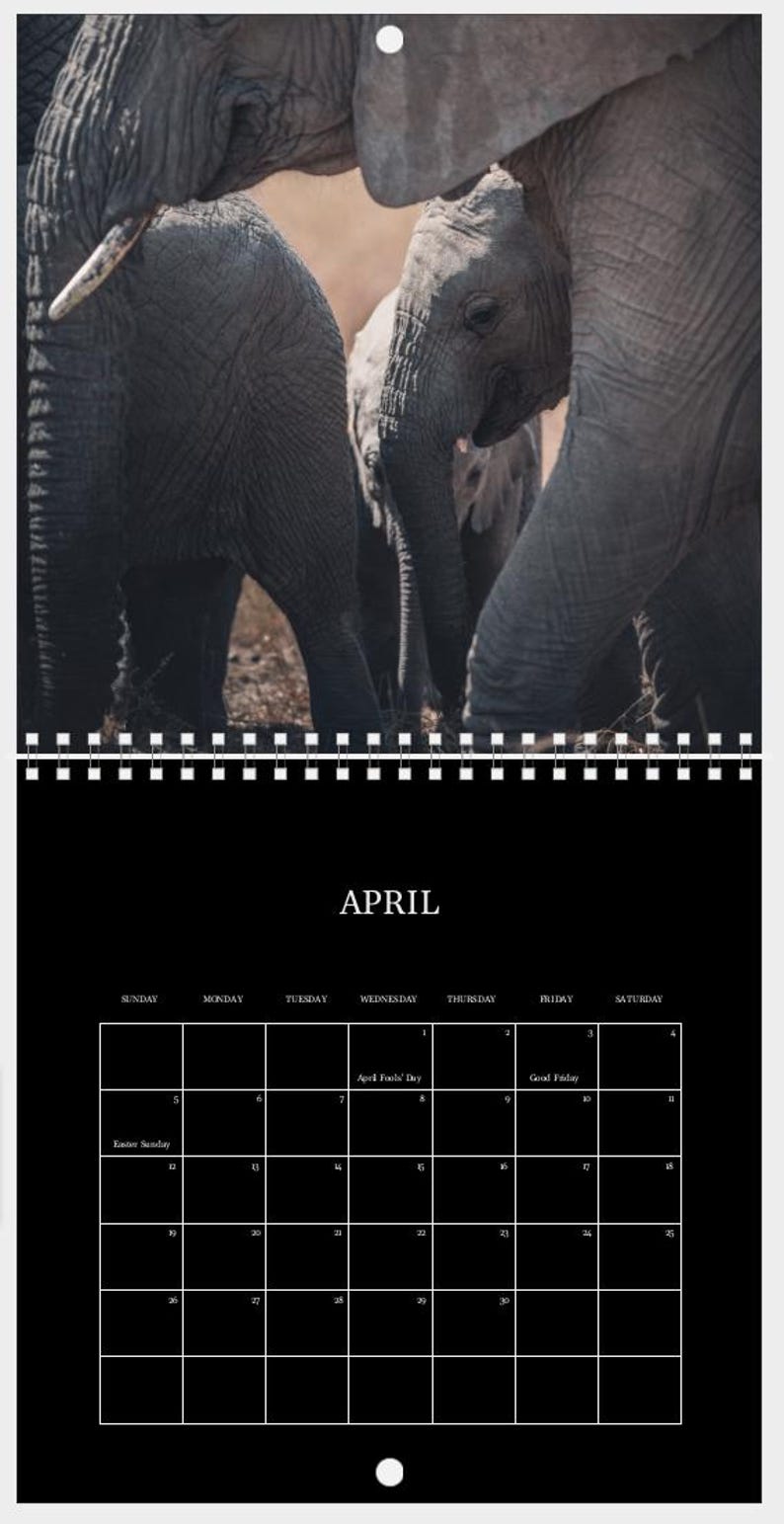 2026 Elephant Photo Square Hanging Centerfold Calendar - Etsy