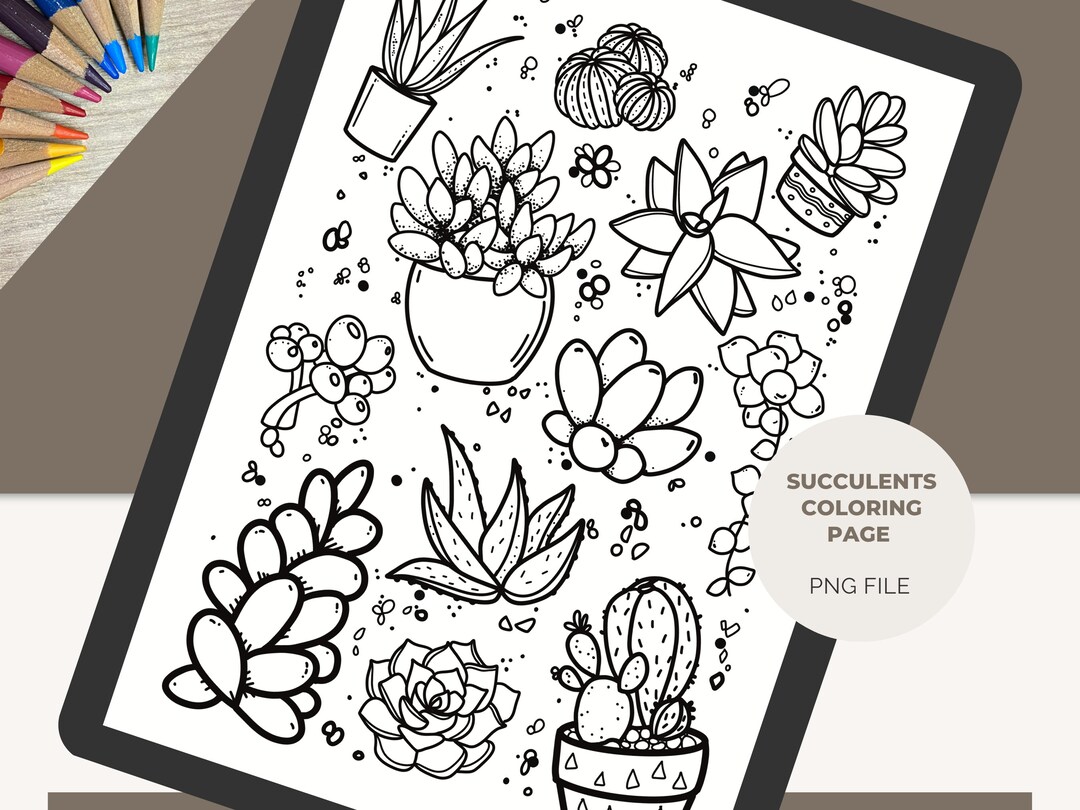 1 Printable Coloring Page Succulents Design for Adults 1 - Etsy