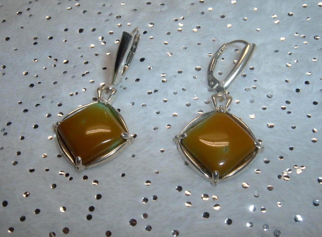 Carolyn Pollack Relios Sterling Silver Dangle Earrings Leaver Back ...