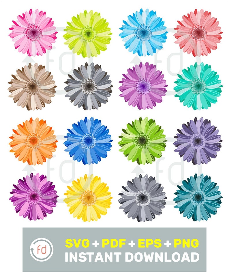 Gerbera Flowers, Daisy Colored Flowers, Vector Art Pack, Clipart Set 16 ...
