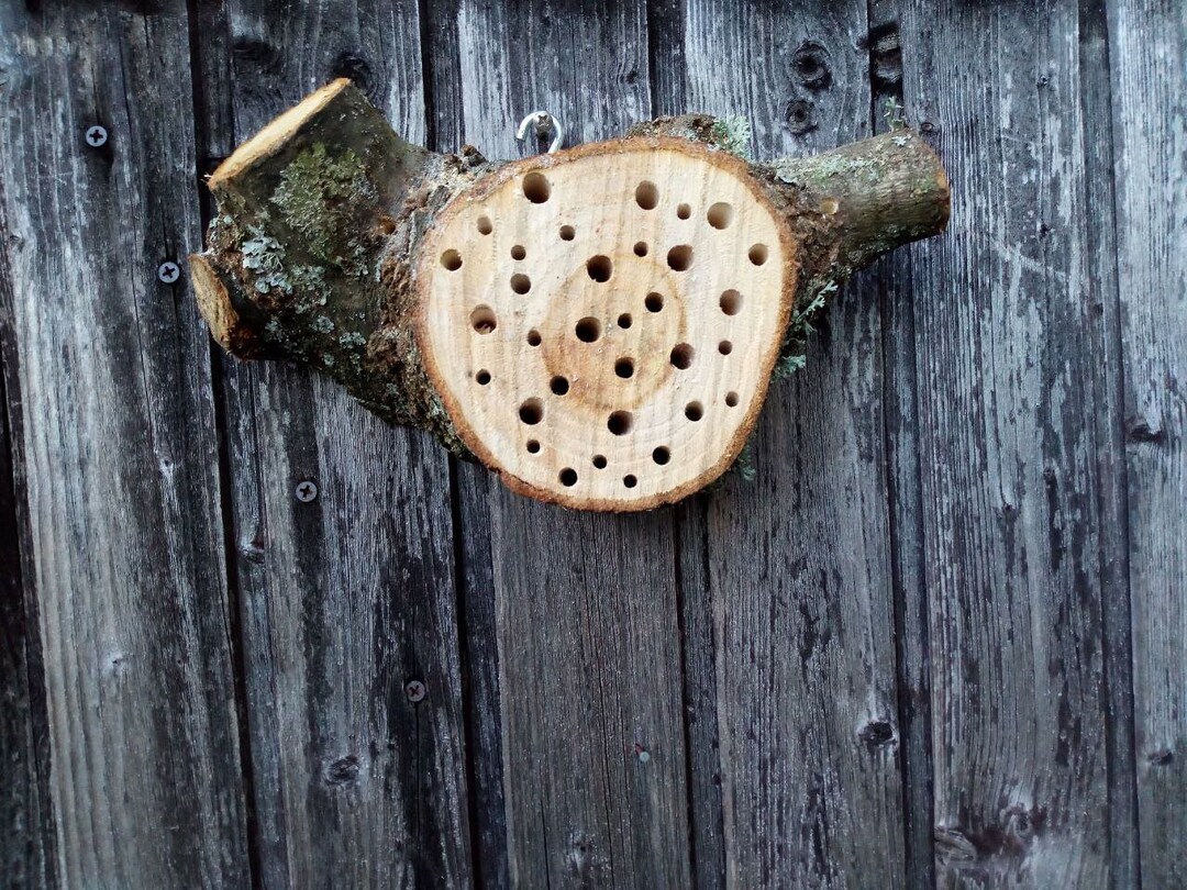 Wild Bee House / Insect Hotel / Nesting Aid Made of Solid Hardwood - Etsy