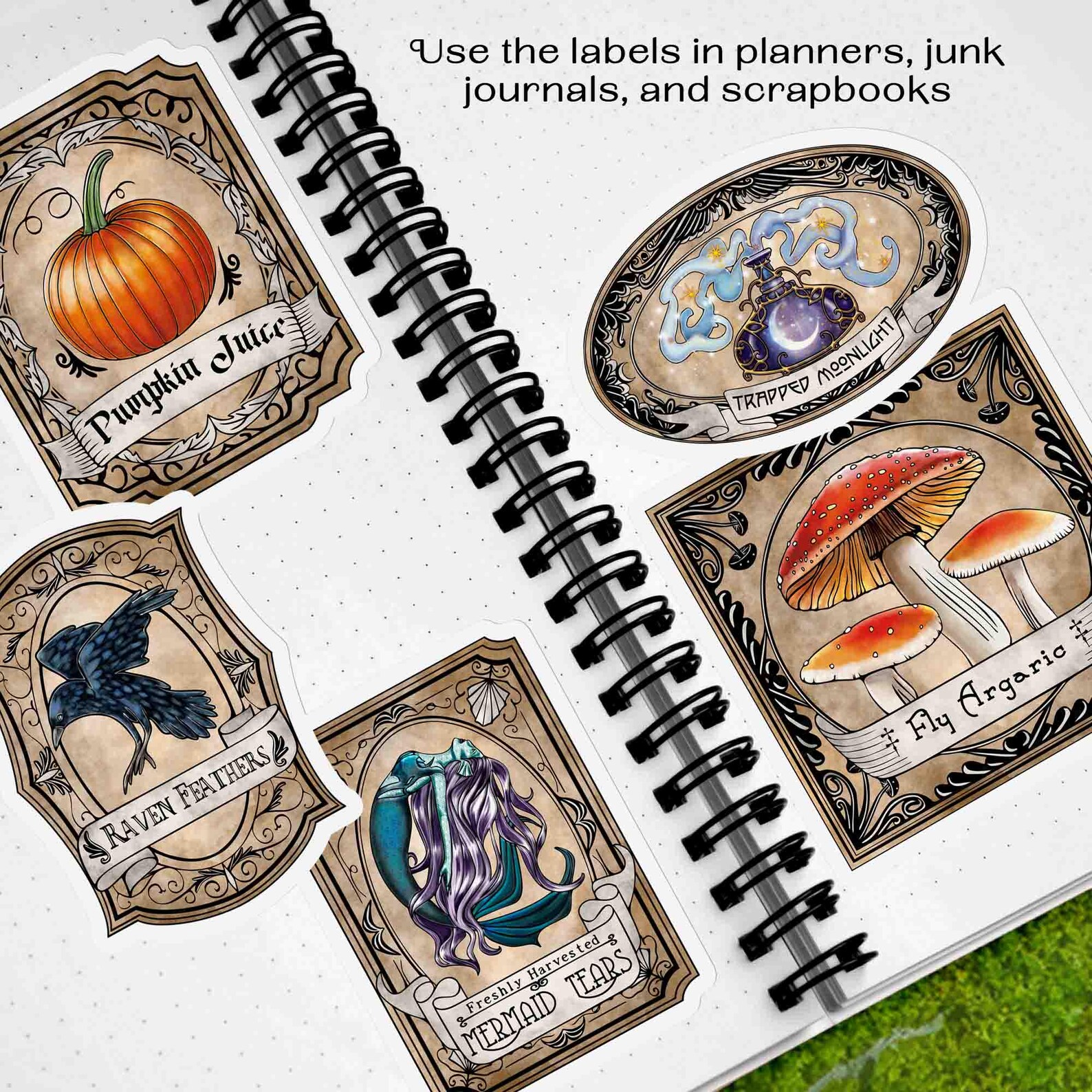 Apothecary Label Set of 12 Vinyl Sticker Sheet Potion Bottle Label ...