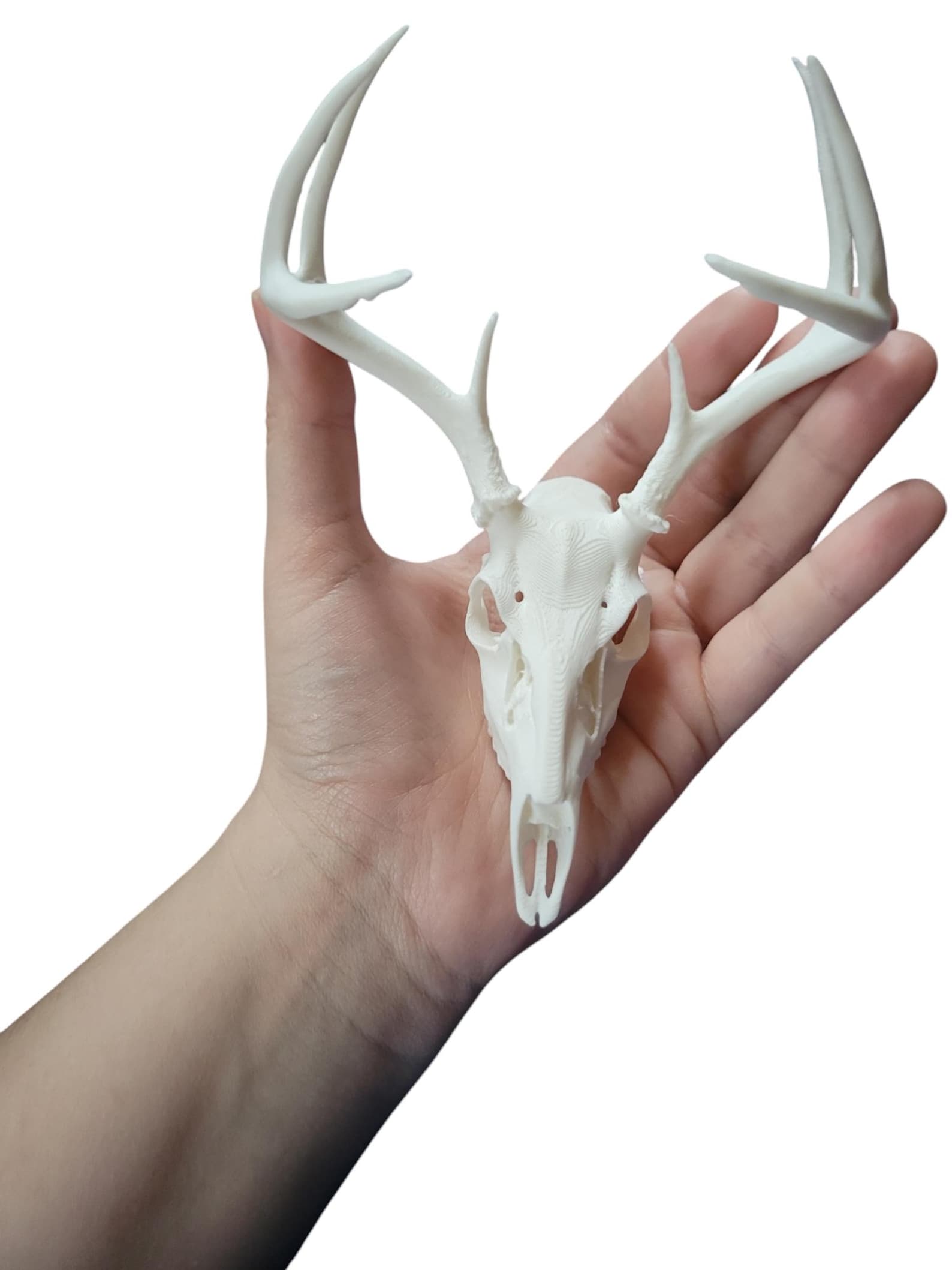 Faux Deer Skull - Etsy