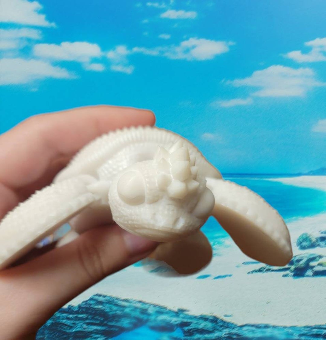 Sea Turtle Fidget Toy - Etsy