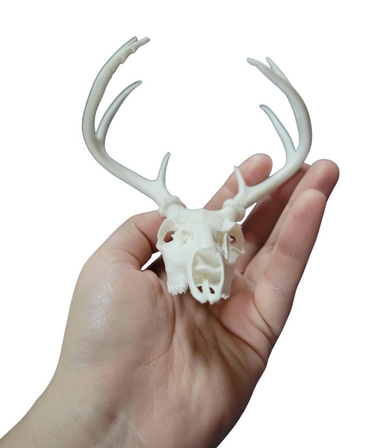 Faux Deer Skull - Etsy