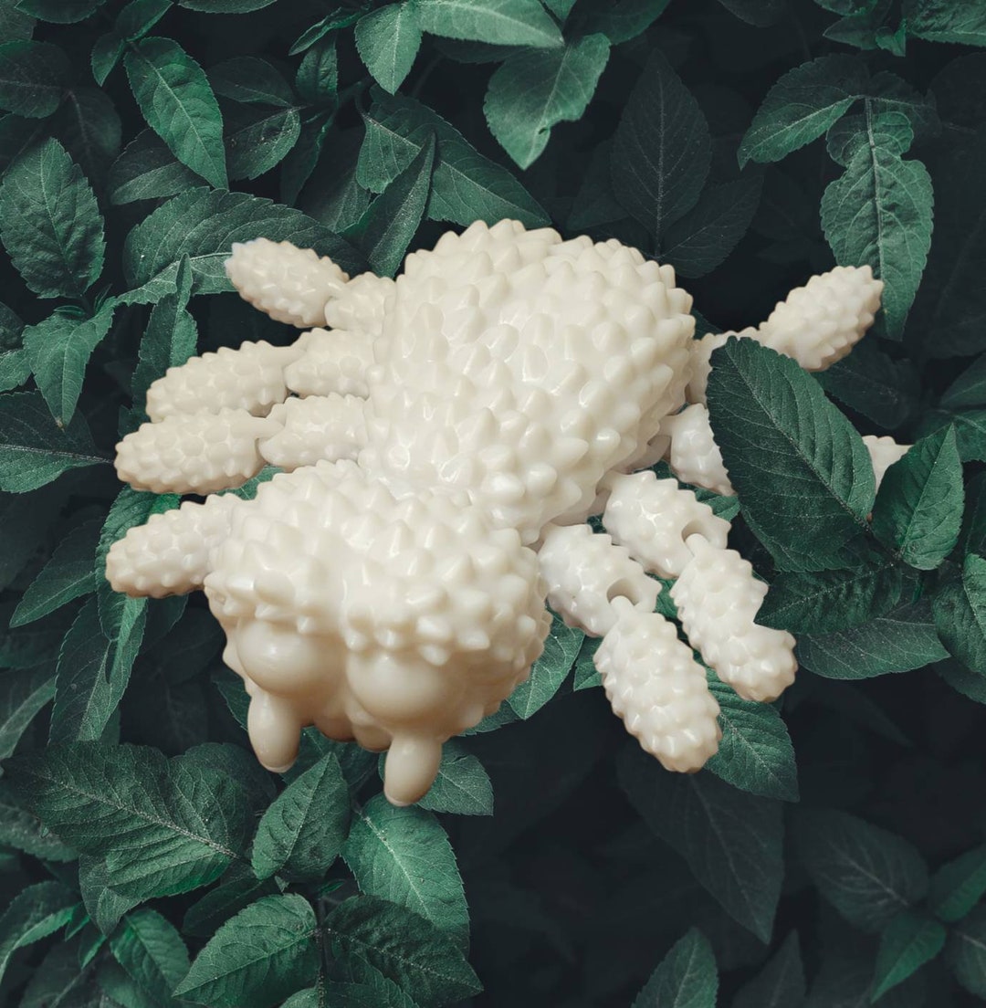 Cute Spider Fidget Toy - Etsy