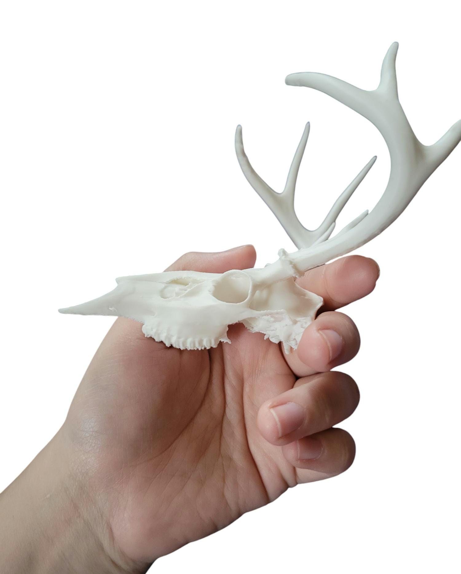 Faux Deer Skull - Etsy