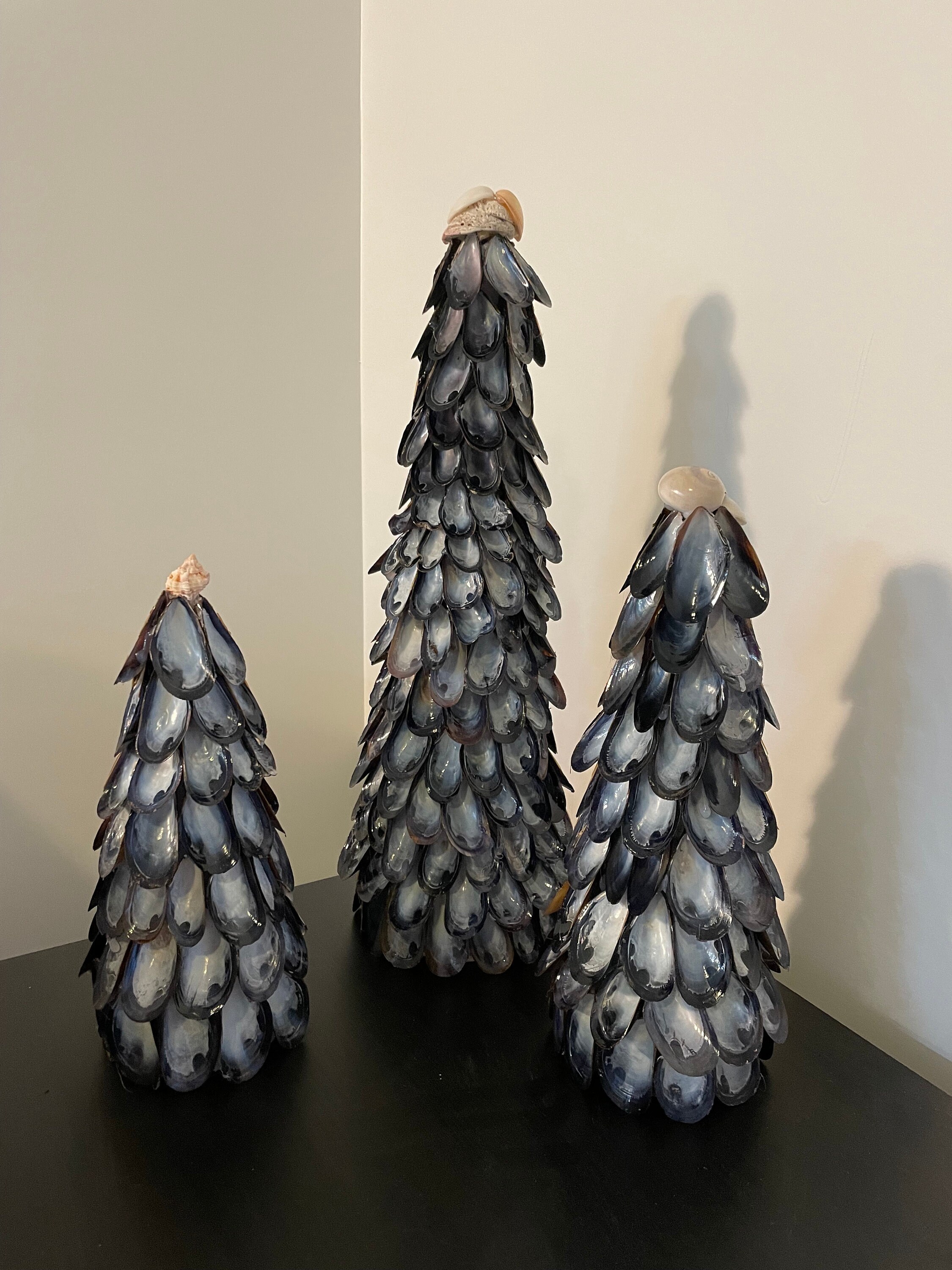 Beautiful Maine Mussel Tree 12 Inches - Etsy