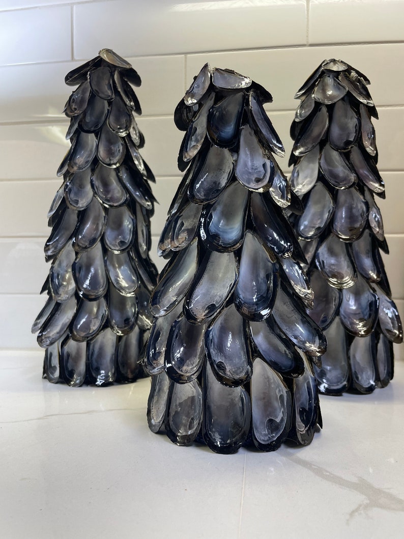 Beautiful Maine Mussel Tree 12 Inches - Etsy