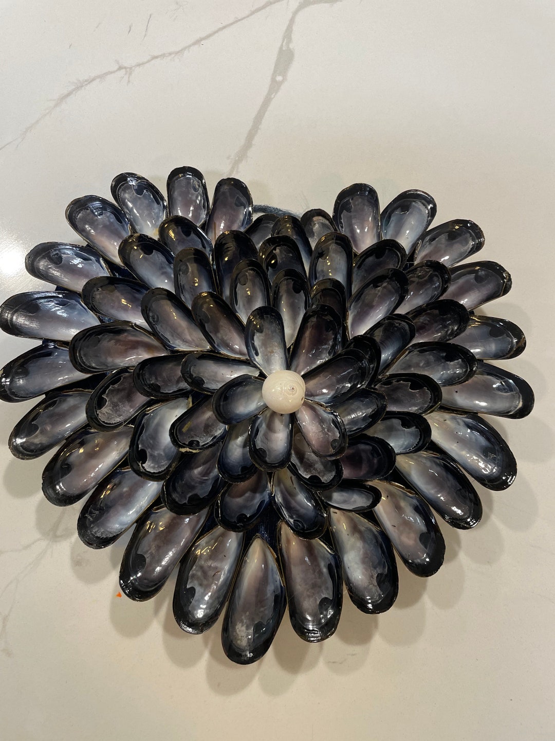 Beautiful Maine Mussel Heart Wreath for Valentines Day. Mussel Heart ...