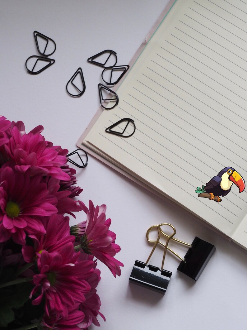 Animal Stickers, Cute Sticker, Cute Animal Stickers, Toucan Digital ...