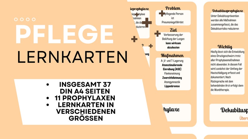 Pflege Lernkarten, Pflegeplanung, Prophylaxen für die Ausbildungg zur Pflegefachfrau ...