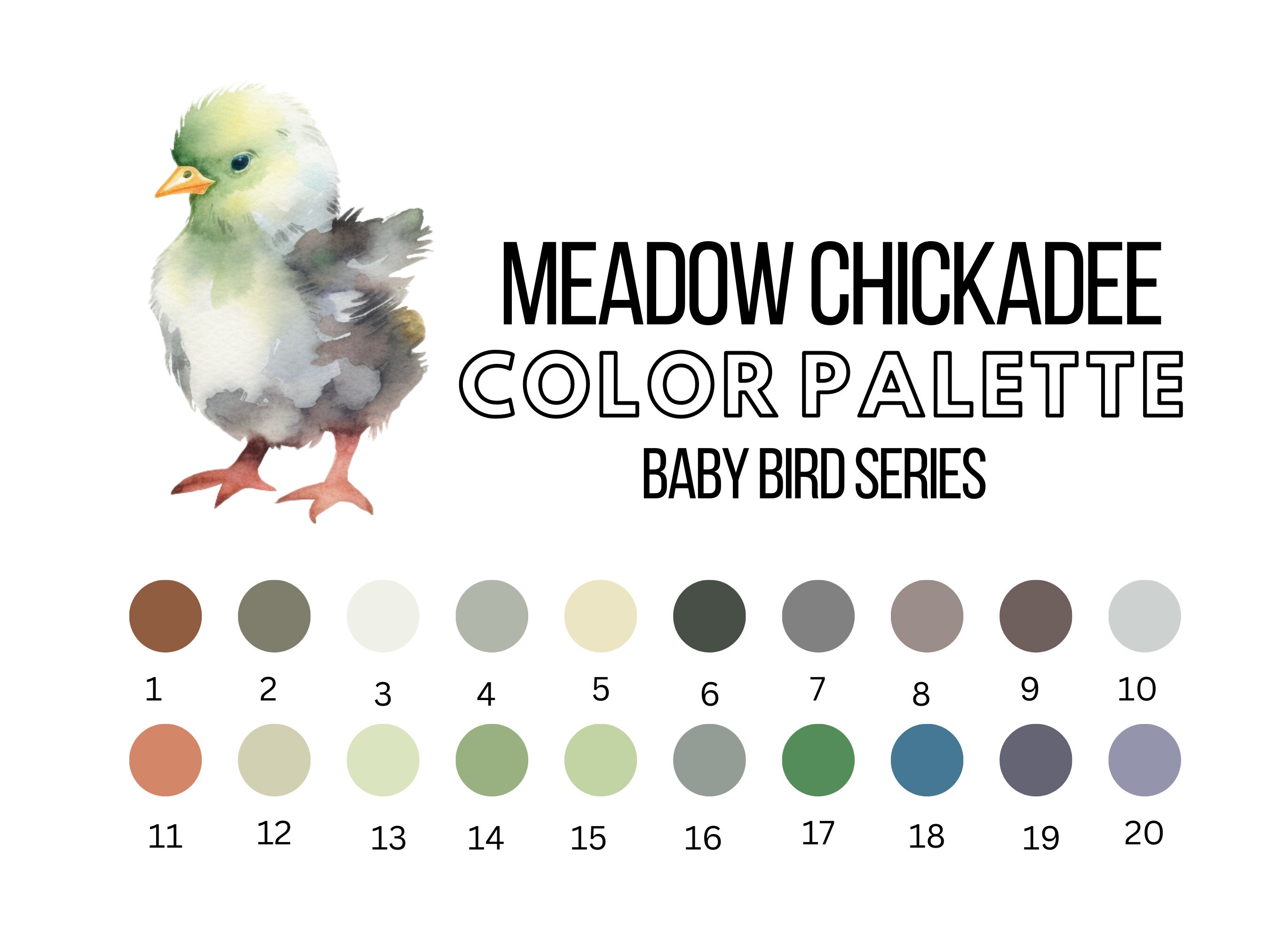 Bird Color Pallette
