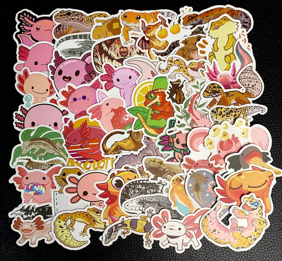 Cute Salamander Sticker Pack, 5-pack Stickers, Axolotl Stickers - Etsy