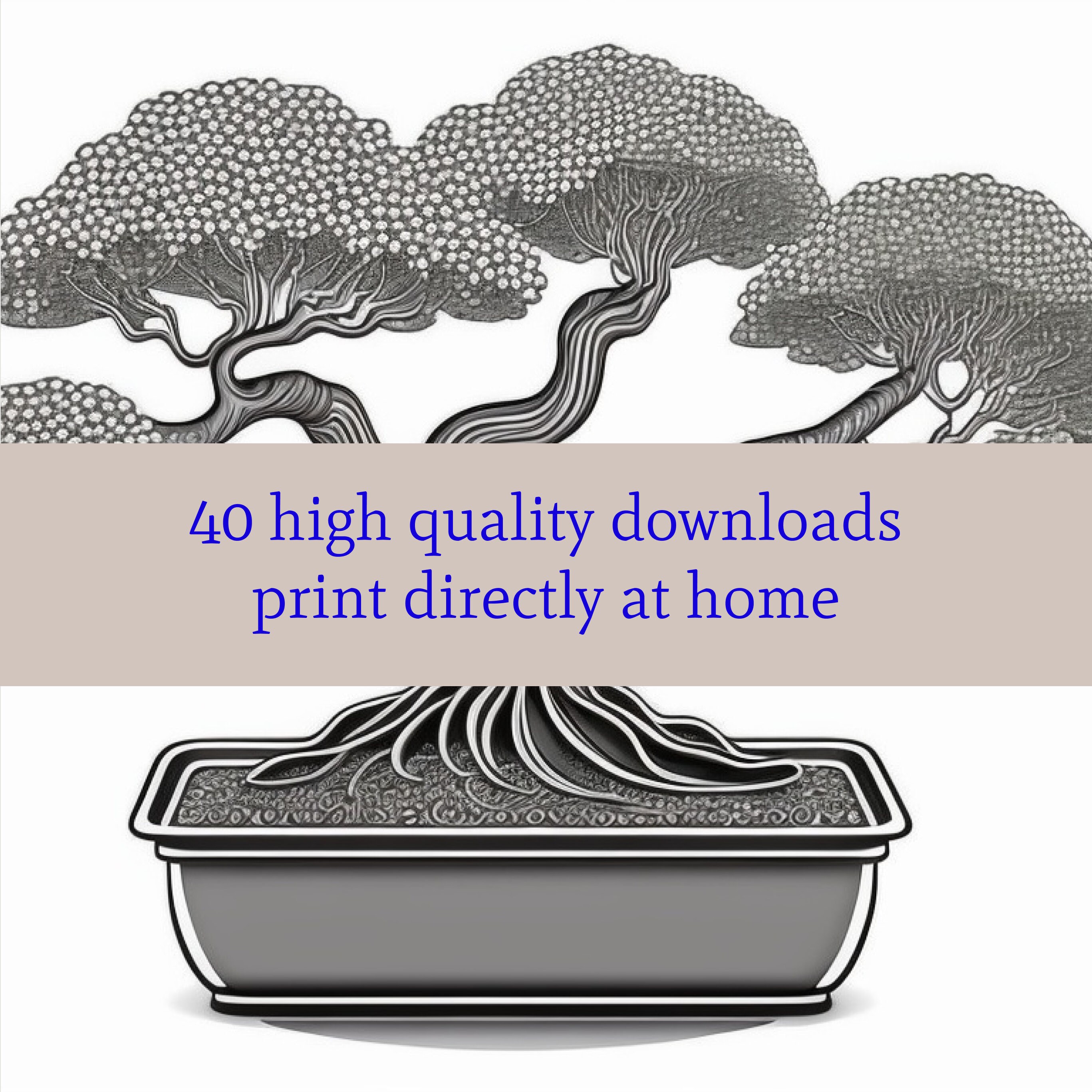 COLORING BUNDLE | 40+ Japanese Bonsai Trees | Digital Download Print at ...