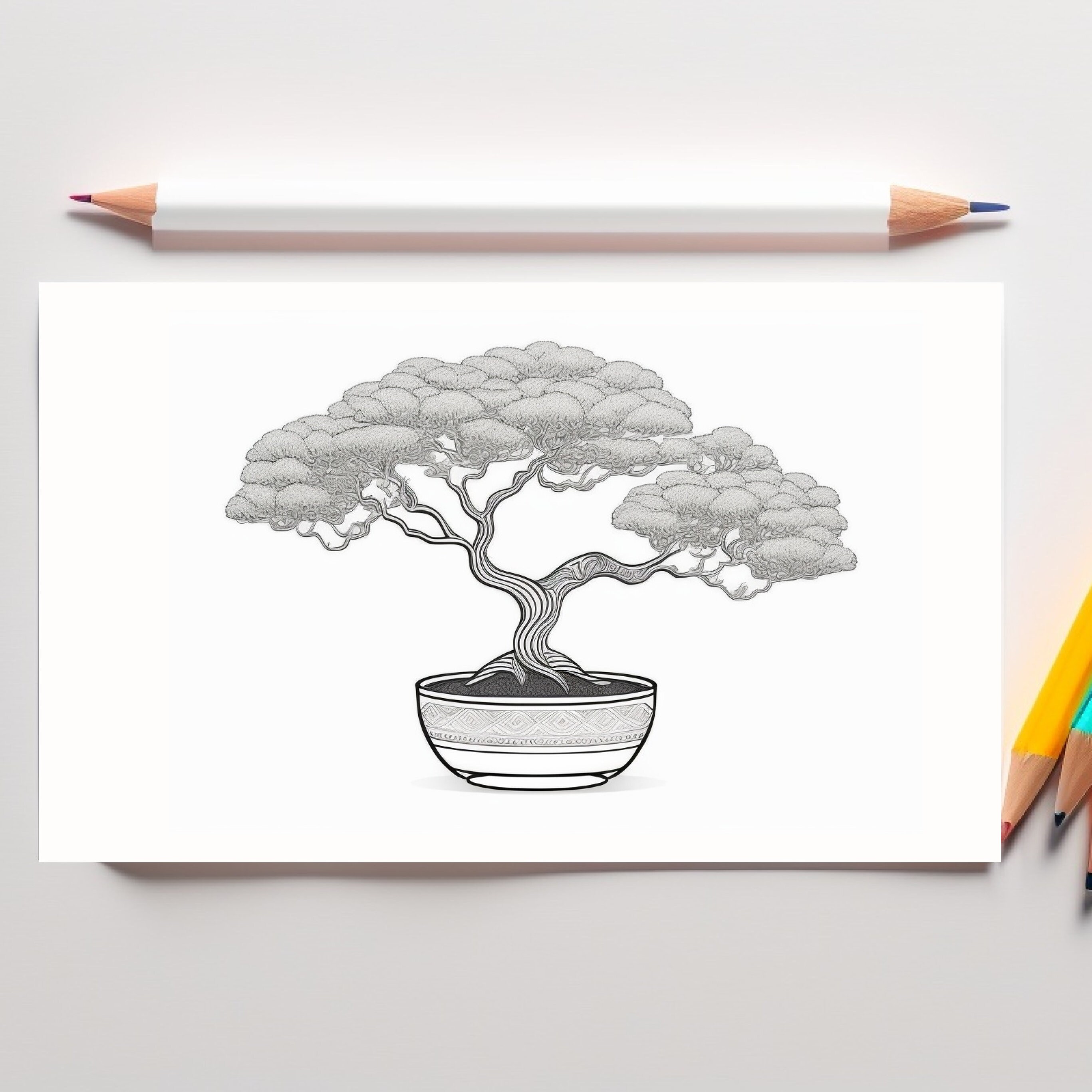 COLORING BUNDLE | 40+ Japanese Bonsai Trees | Digital Download Print at ...