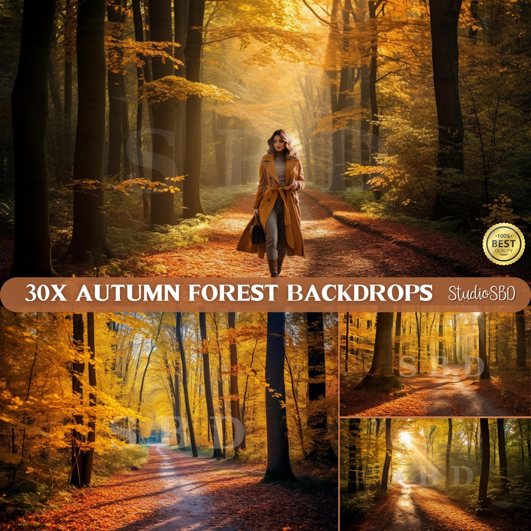 30x Autumn Forest Backdrop, Maternity Backdrop Overlays, Studio ...