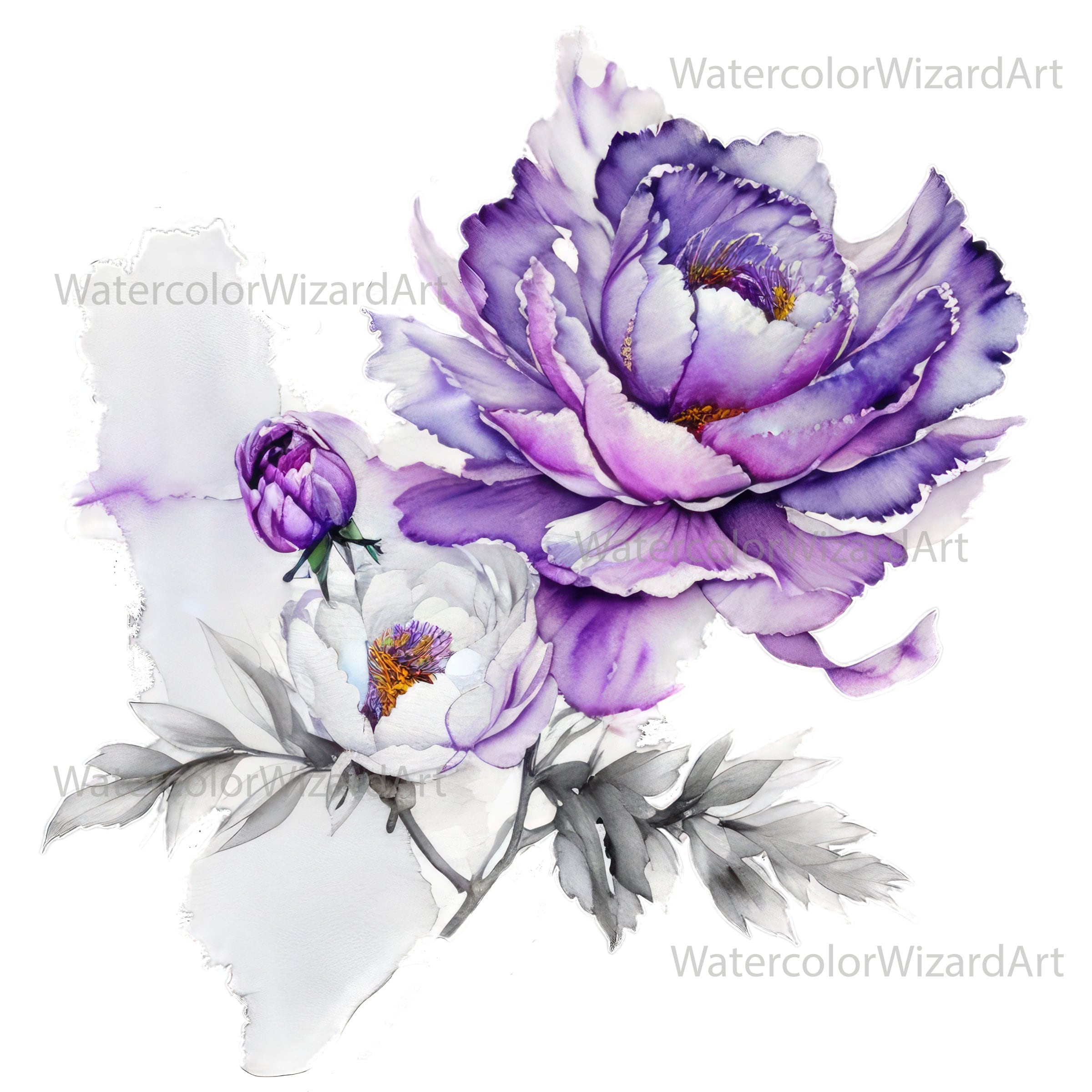 Watercolour Purple Peonies Clipart, Purple Flowers Png, Full Commercial ...