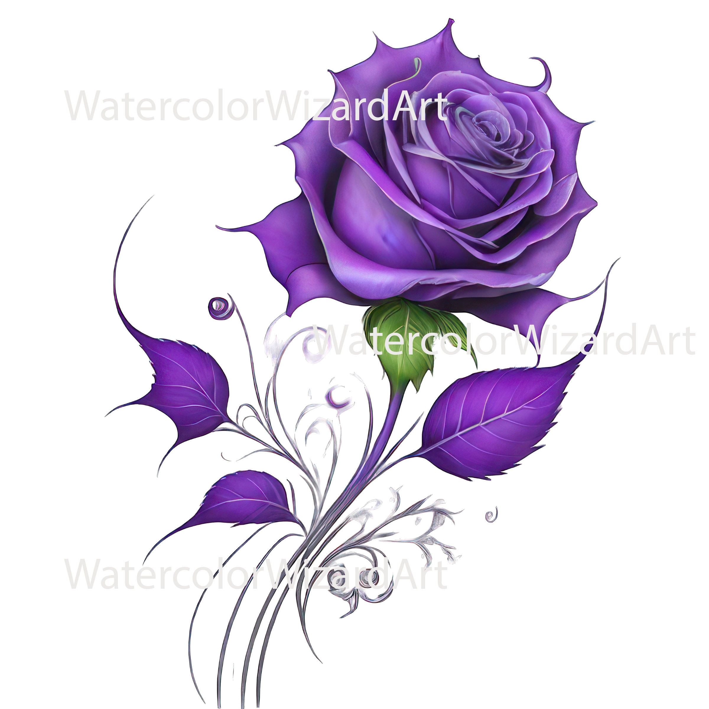 Purple Roses Drawings