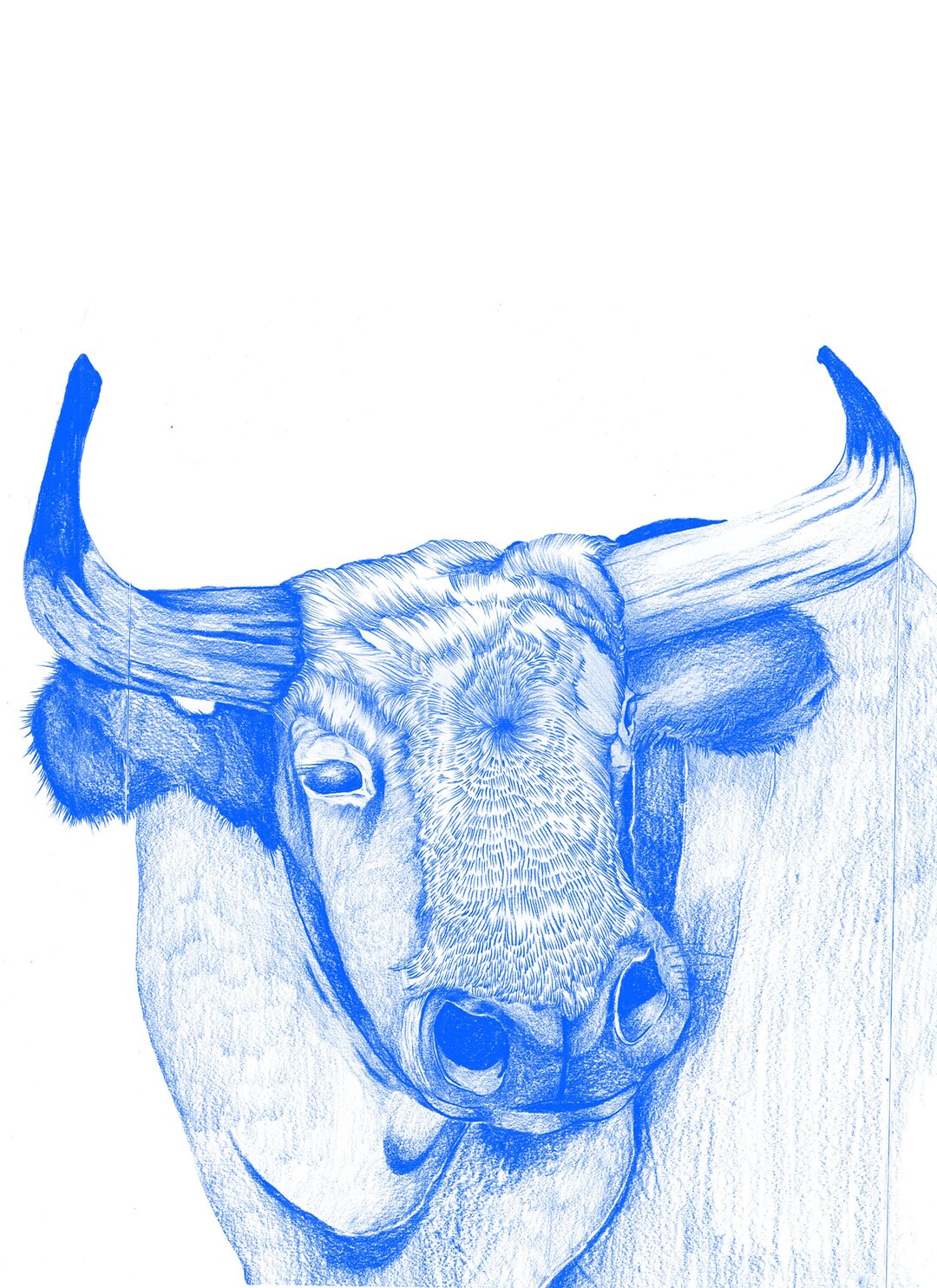 Digital Cow Print - Etsy