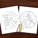 Sunday School Color Wheel Luke 10:27, Printable Bible Activity ...