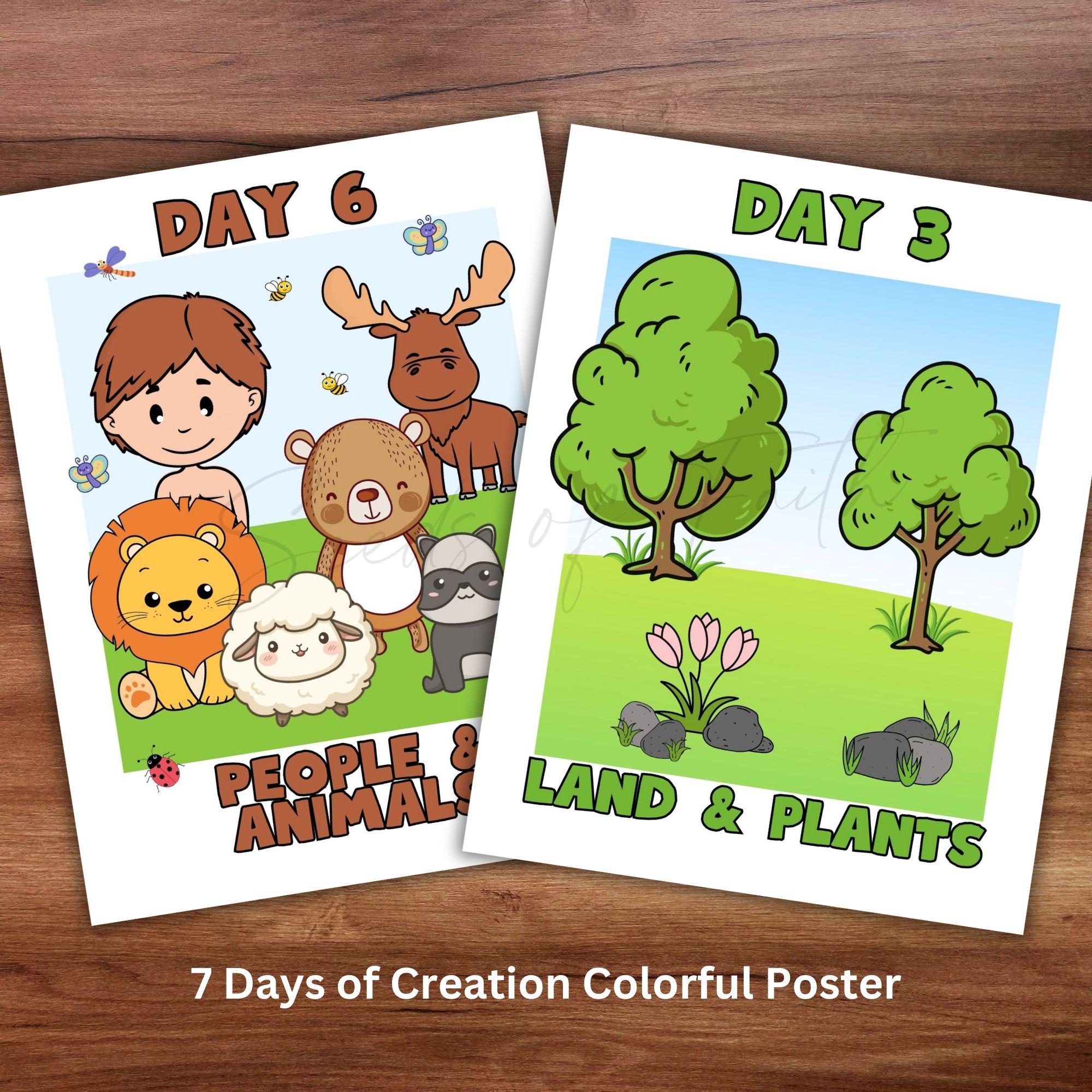 7 Days of Creation Bible Story Posters Sunday School Christian ...