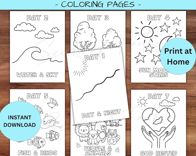 Bible Coloring Pages, Days of Creation, Kids Bible Coloring Book ...