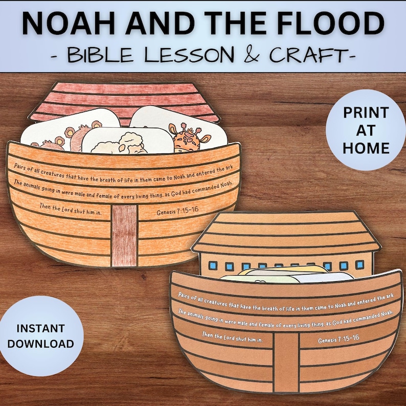 Noah and the Flood Bible Lesson and Craft, Noah's Ark Sunday School VBS ...