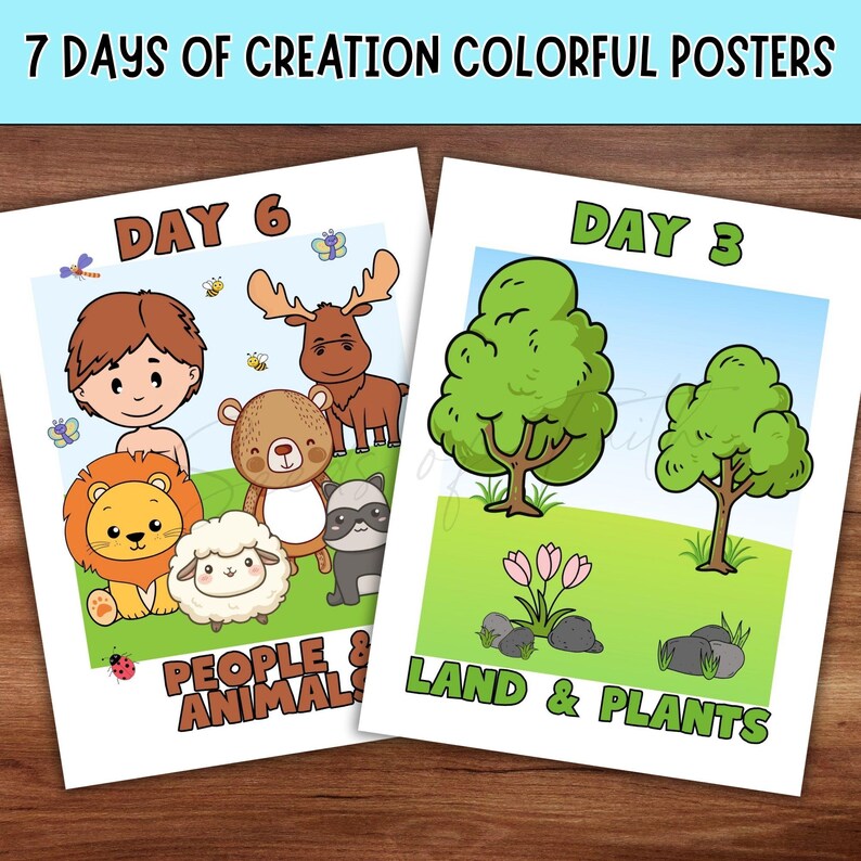 7 Days of Creation Bible Story Posters Sunday School Christian ...