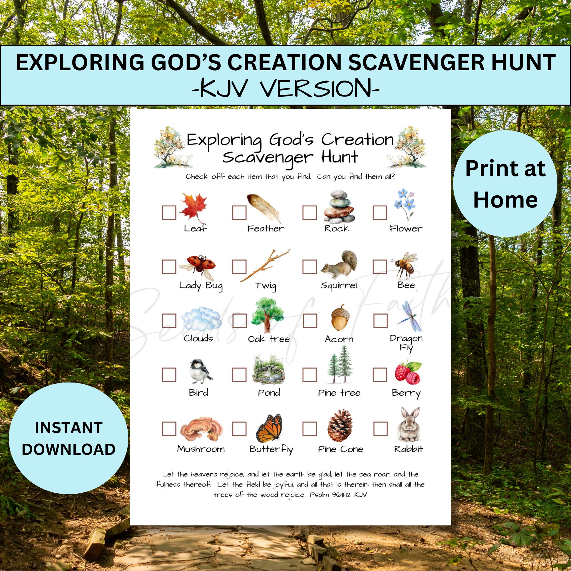 Scavenger Hunt Nature Walk KJV Bible Lesson for Kids, Exploring Gods ...