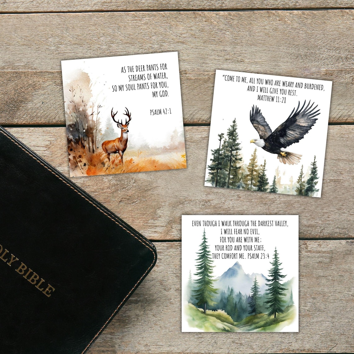 Scripture Cards for Men, Inspirational Bible Verse Memory Cards ...