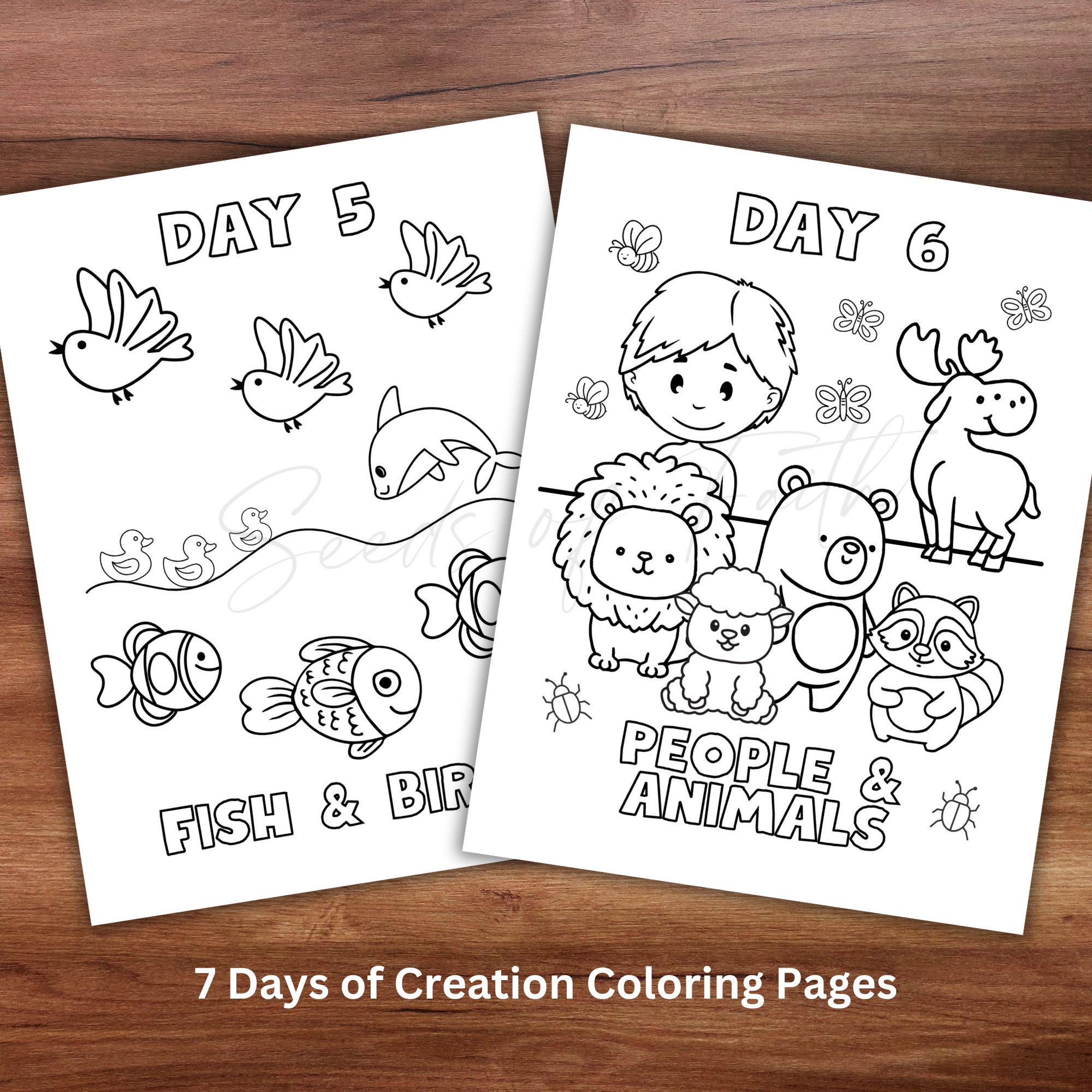 7 Days of Creation Bible Story Coloring Poster Pages for Kids Sunday ...