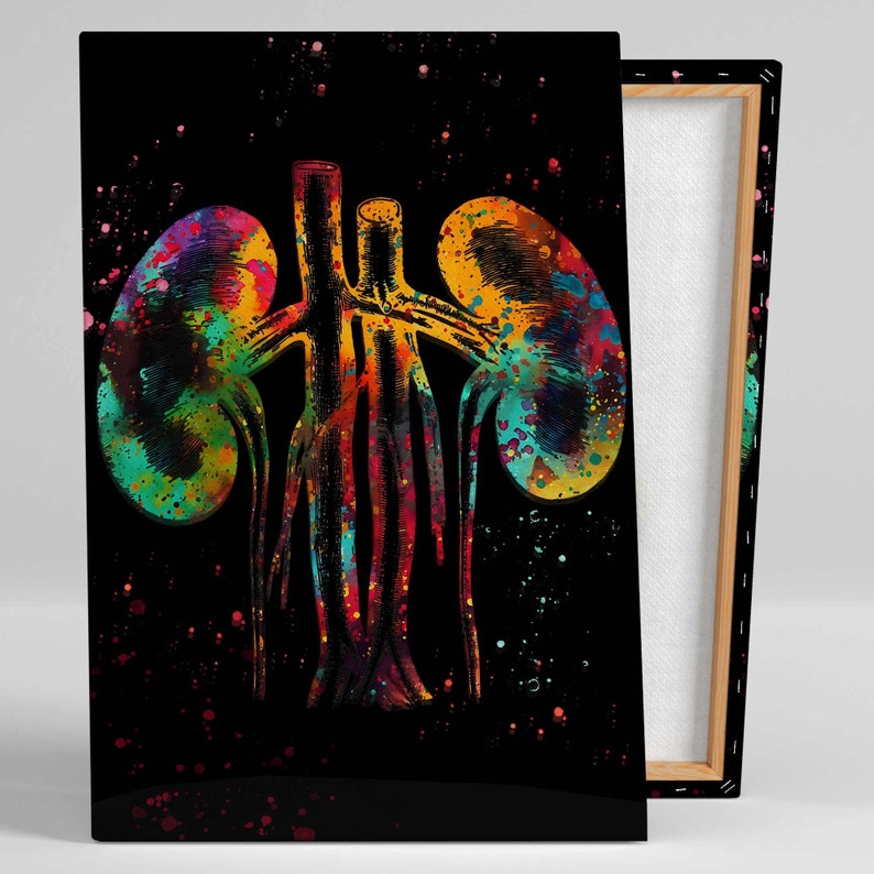 Kidney System Wall Art, Urologist Wall Decor, Roll up Canvas, Stretched ...